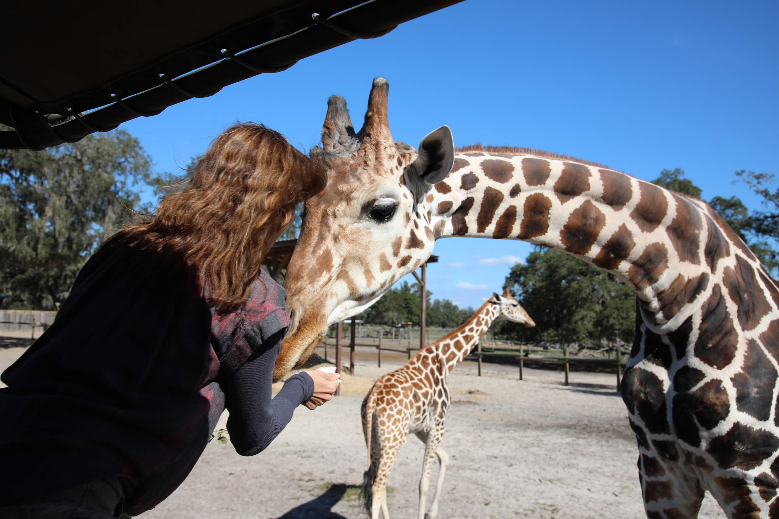 5 Adrenaline-Pumping Adventures Through Florida’s Sports Coast - Tinybeans