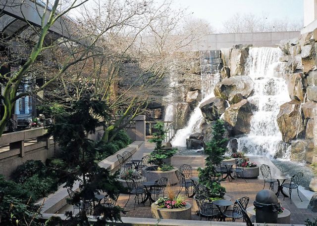 Seattle's Waterfall Garden Park with Kids