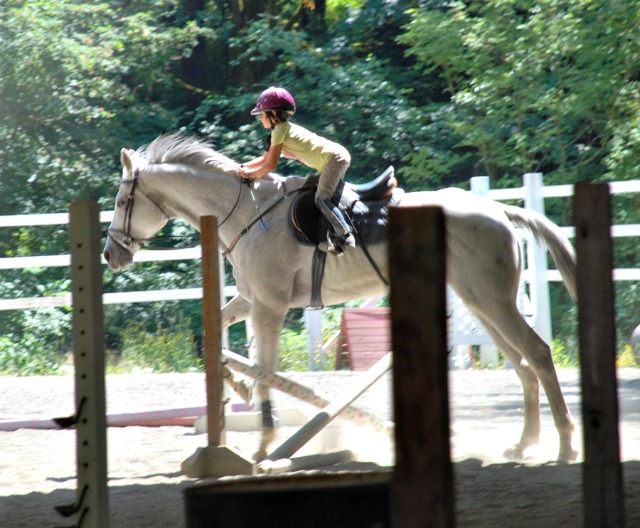Kid Friendly Horseback Riding Spots in Seattle