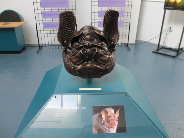 Just Opened: A New Interactive Bat Exhibit at the Zoo - Tinybeans