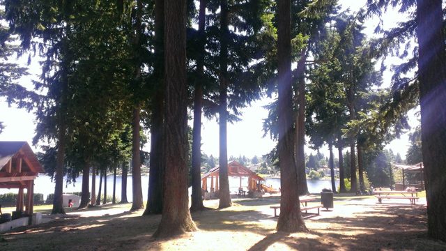 See SeaTac from Another Angle: Jet Over to Angle Lake Park - Tinybeans