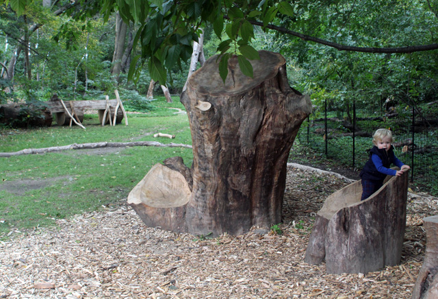 New York Park | Natrual Play Space