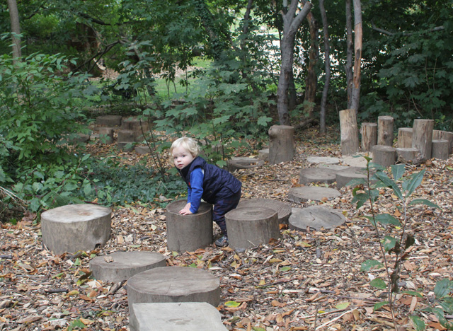 New York Park | Natrual Play Space
