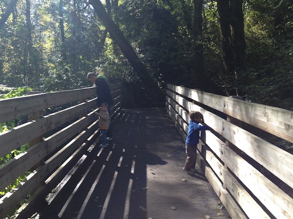 Portland Kids Places to See: Tryon Creek State Park