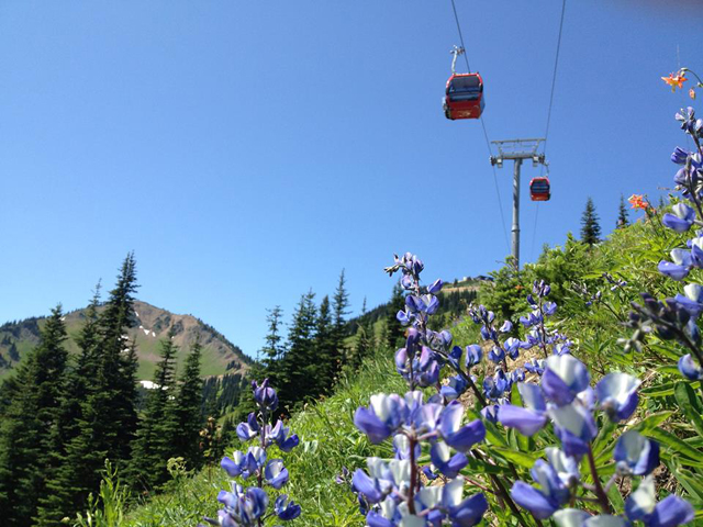 Off-Season Day Trip: Explore Crystal Mountain (Minus the Snow) - Tinybeans