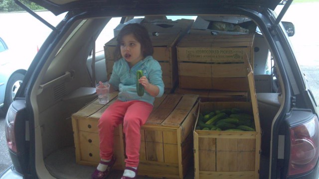 6 Local DMV Snacks to Put in Kids' Lunch Boxes - Tinybeans