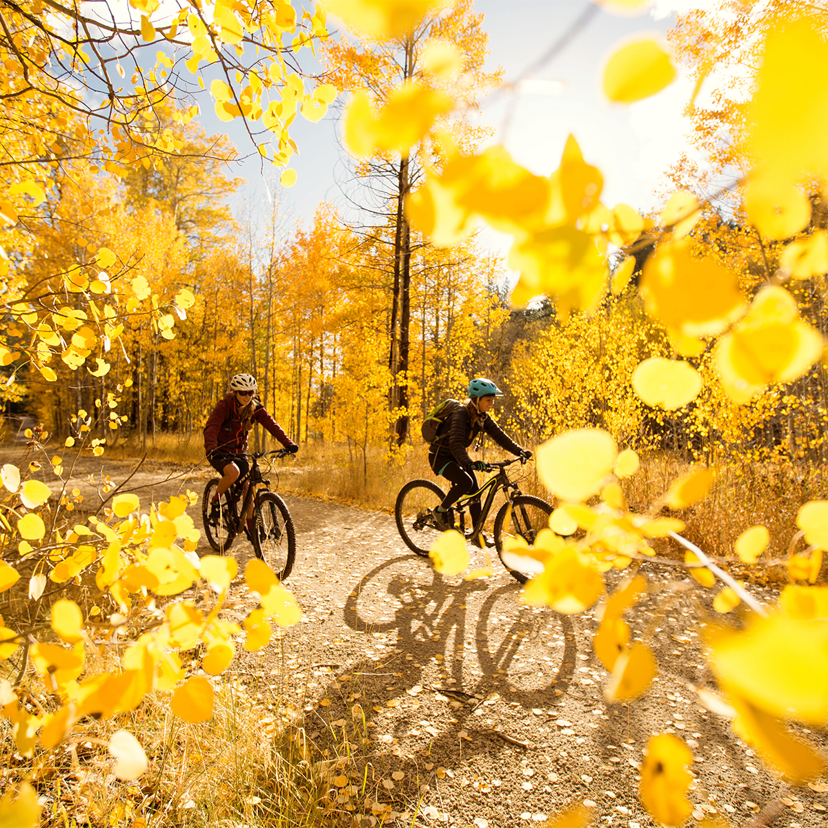 8 Awesome Things to Do in Reno with Kids