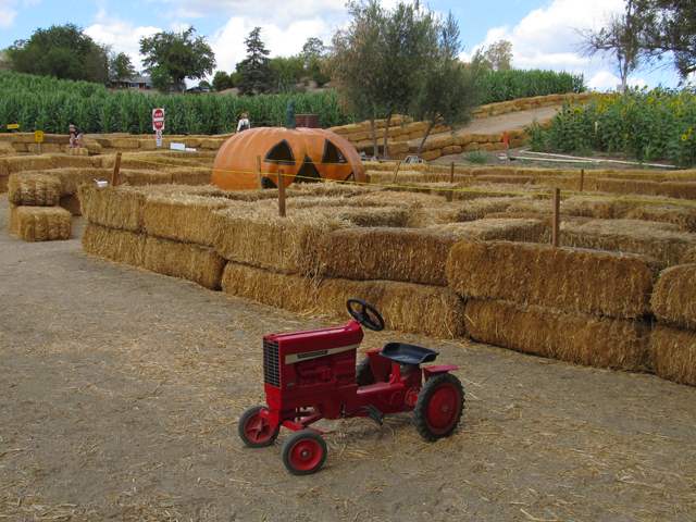 Things to Do at the Lombardi Ranch Fall Festival