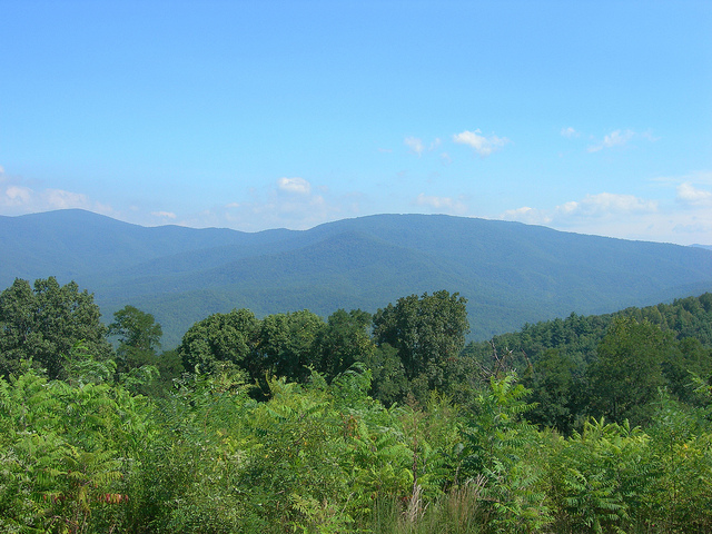 A Free for All: 10 Free Things To Do This Fall in Atlanta - Tinybeans