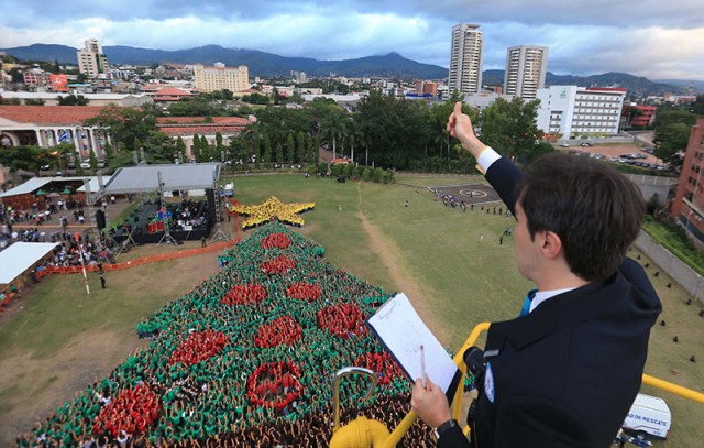 Amazing and Creative Christmas Trees