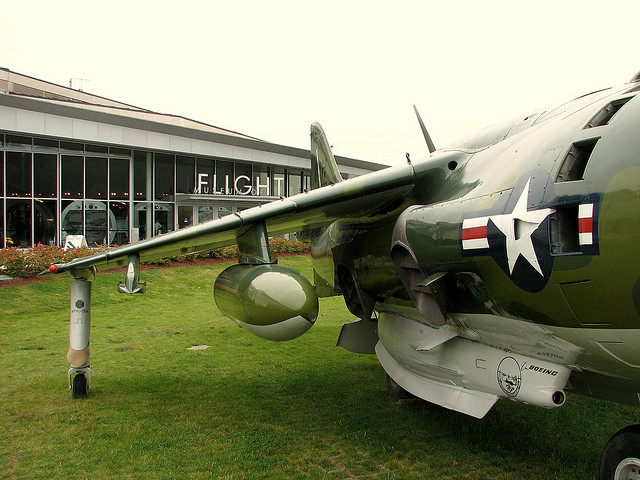 18 Cool Museums and Zoos with Overnight Sleepovers for Kids