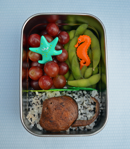 Animal Food Art for Kids