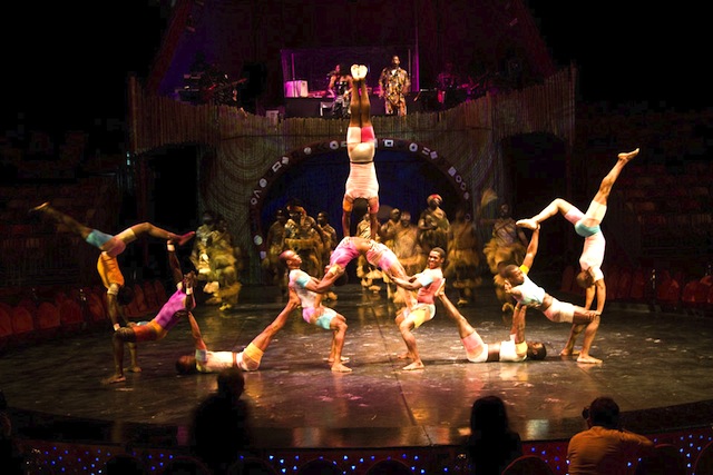 5 Shows & Exhibits You Should See NOW