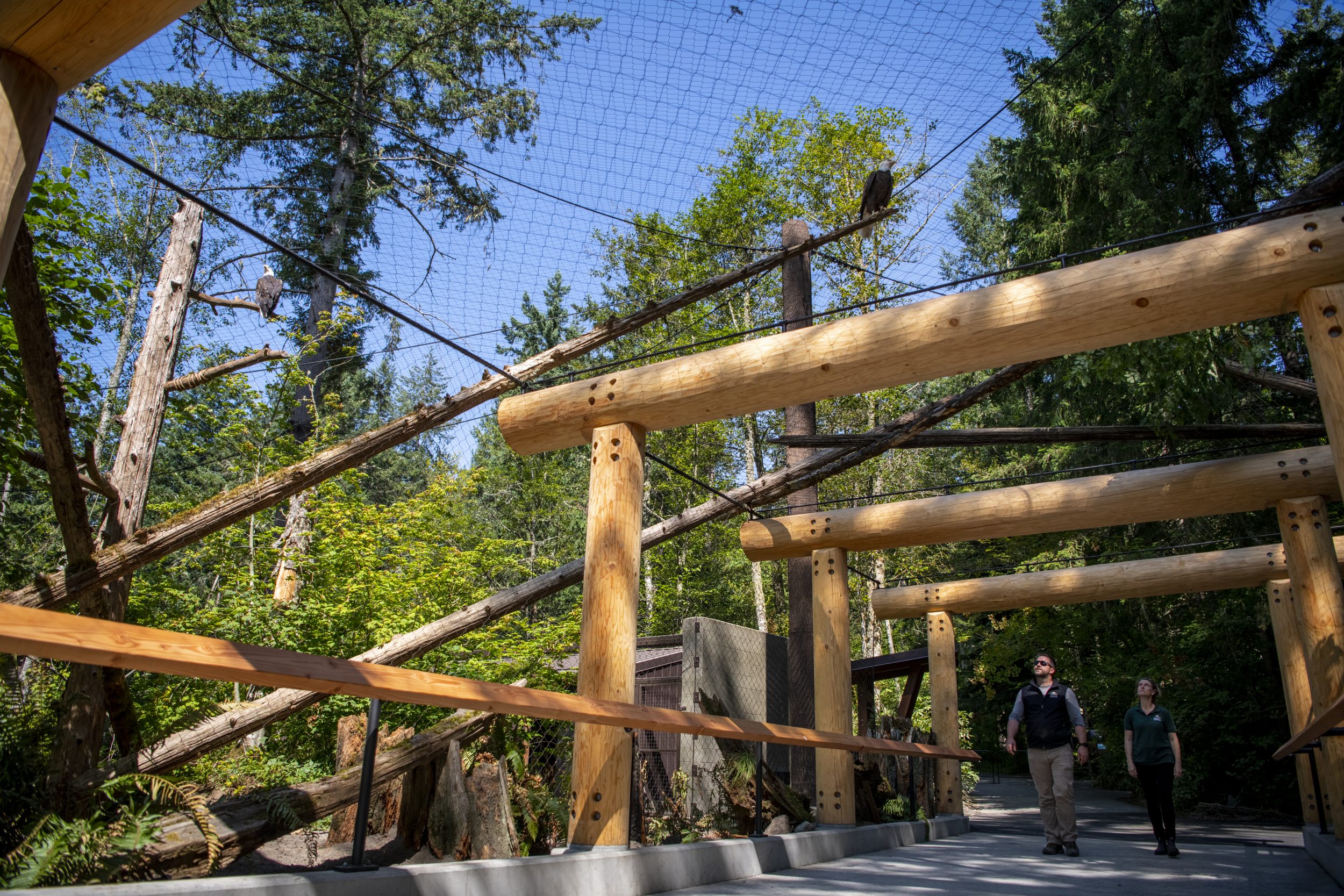 Family Guide to Northwest Trek Wildlife Park in Eatonville, Wa 2019