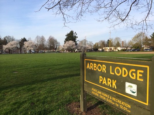 8 Portland Parks with Wide-Open Spaces