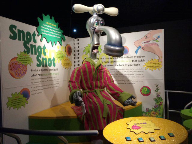 Kid-Friendly Grossology Exhibit at the Pacific Science Center