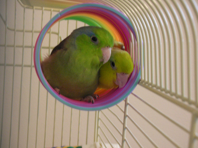 7 Creative and Fun Uses for a Slinky