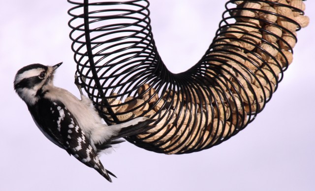 7 Creative and Fun Uses for a Slinky