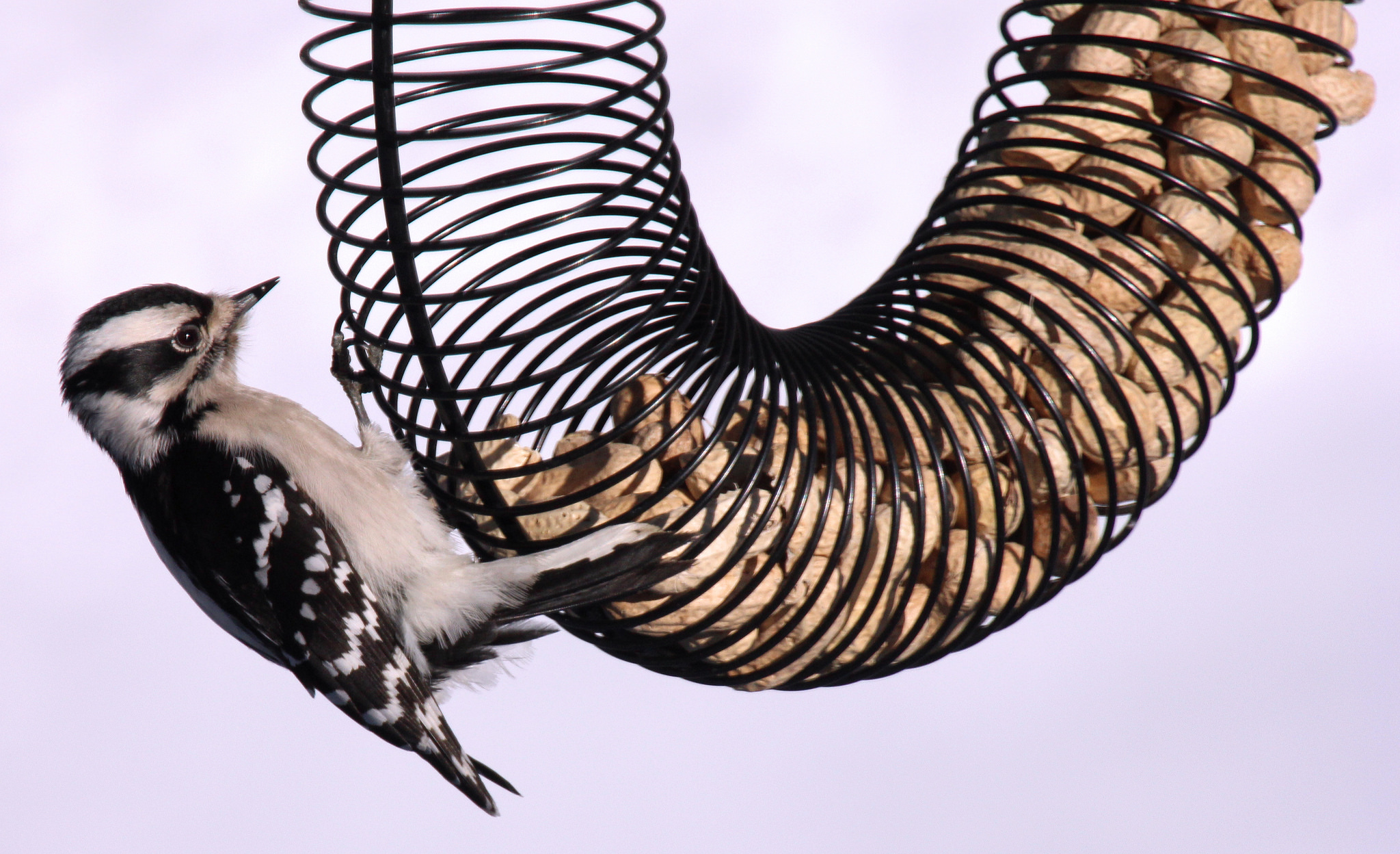 7 Creative and Fun Uses for a Slinky