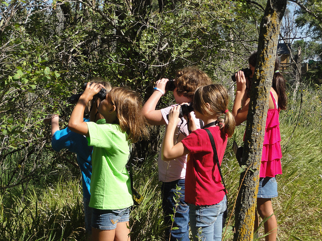 I Spy: Where to See Wildlife in the DMV - Tinybeans