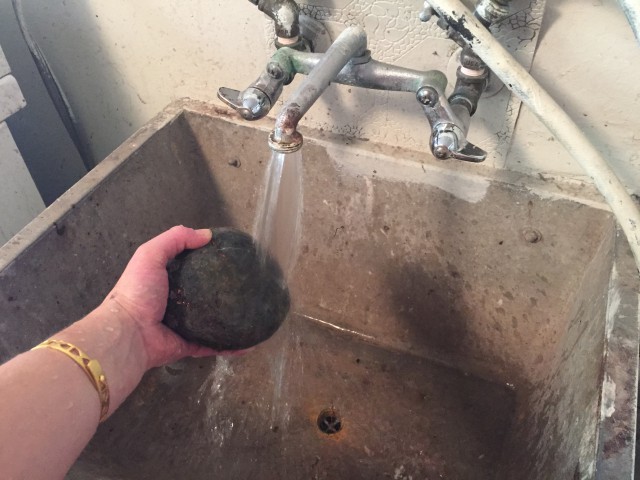 DIY Pet Rock for Kids