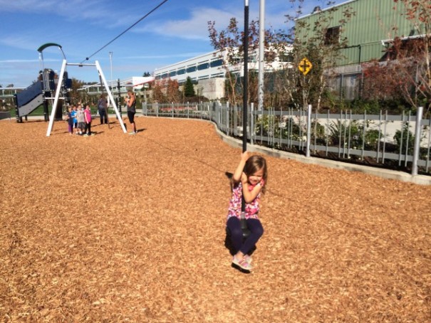 Fun Eastside Google Park for Seattle Kids
