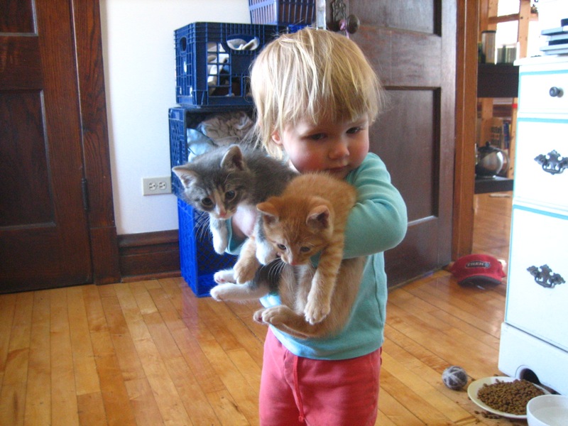 Watch the Cutest Kid & Cat-panions Play Together - Tinybeans