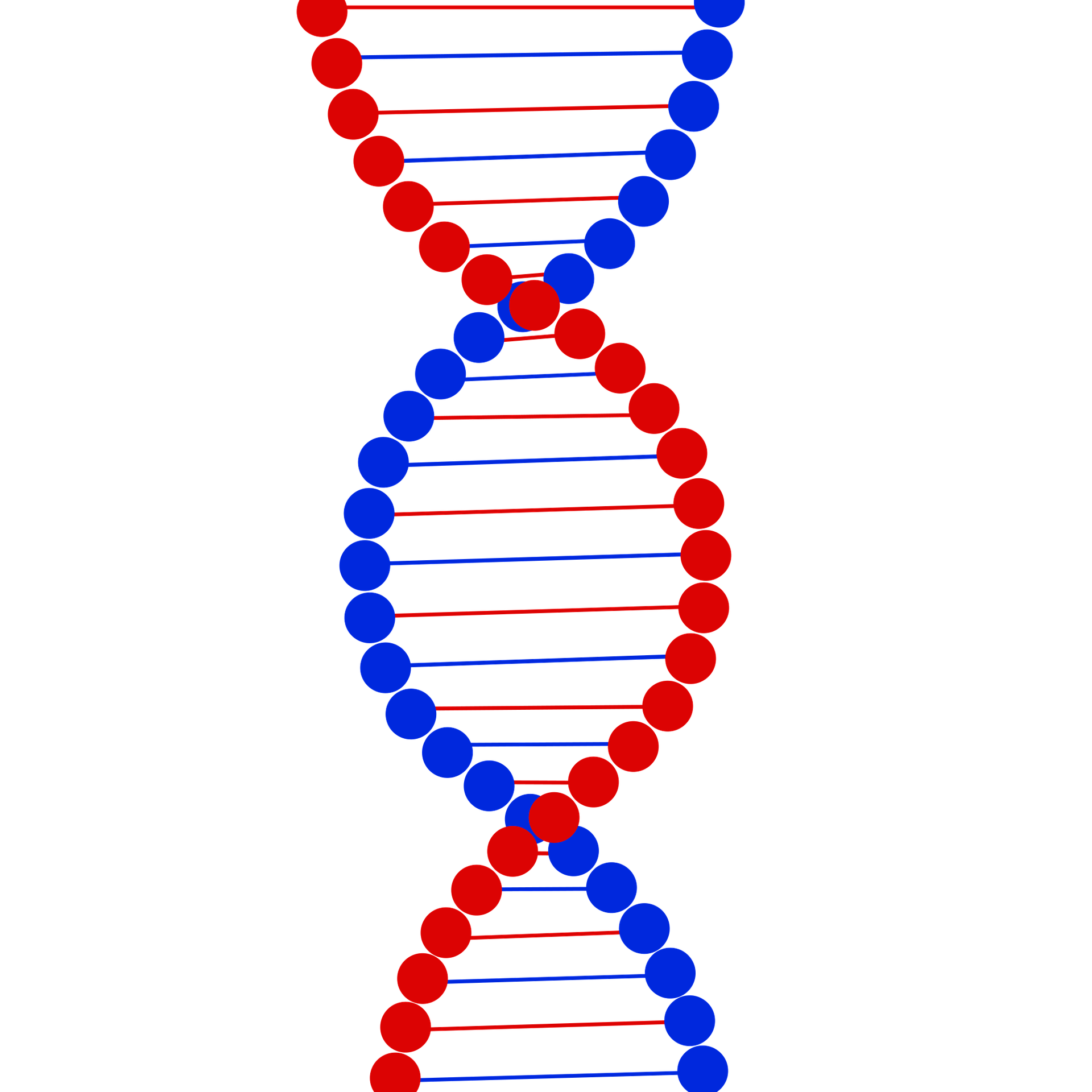 How to Explain DNA to Kids by Building a DNA Model at Home