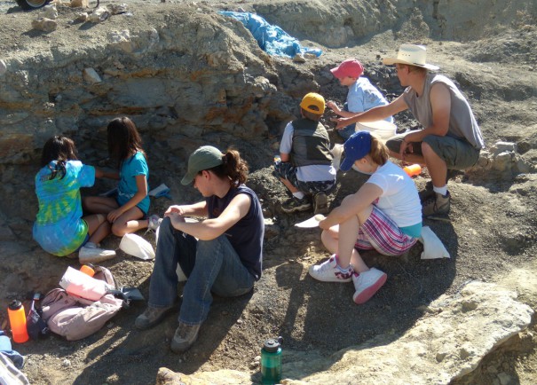 20+ Places to Take Kids Who Love Dinosaurs - Tinybeans