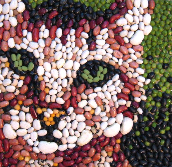 Fun Bean Games and Activities for Kids