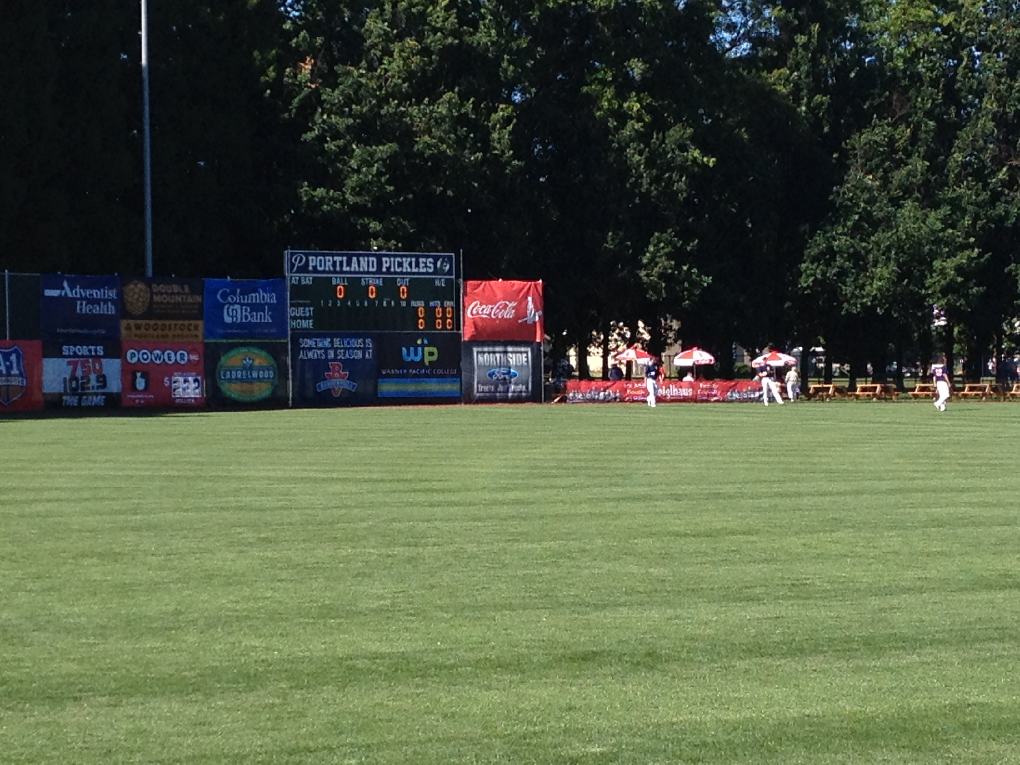 Baseball Is Back! An Insider's Guide to a Portland Pickles Game - Tinybeans