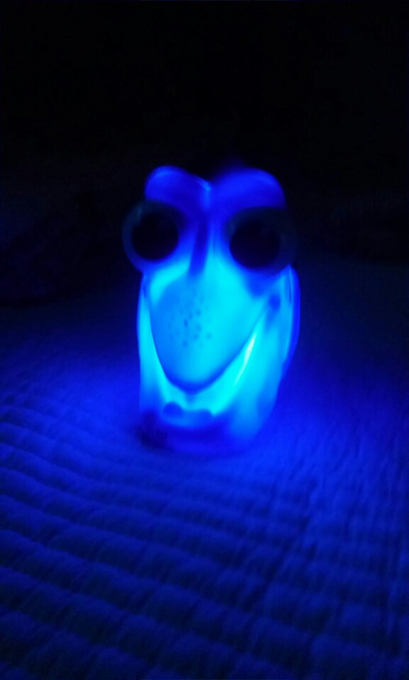 This 'Finding Dory' Night Light is Uber Cute In the Daytime, But In the ...