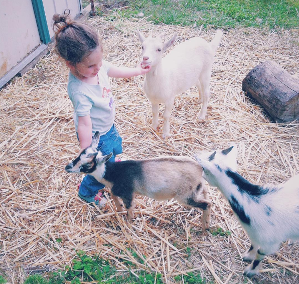 Meet 8 Families Who Farm