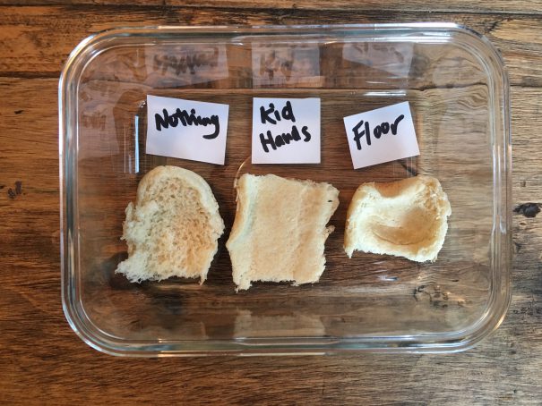 Science Experiments for Kids to Try at Home - Tinybeans