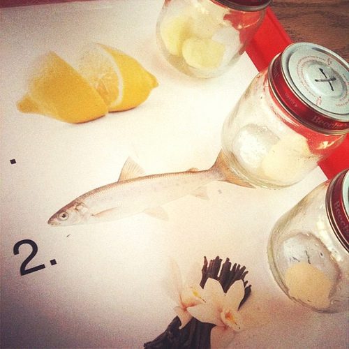 Science Experiments for Kids to Try at Home - Tinybeans