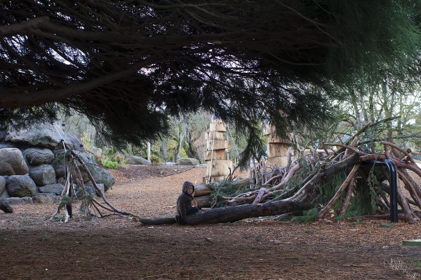 Amazing Unstructured Playgrounds