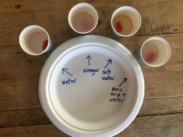 Halloween Science Experiments to Use All That Candy - Tinybeans