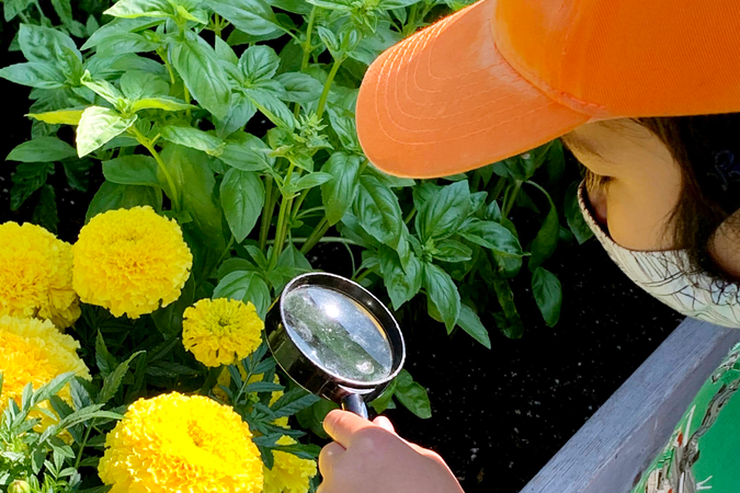 Can't Wait Until Summer! - Tinybeans