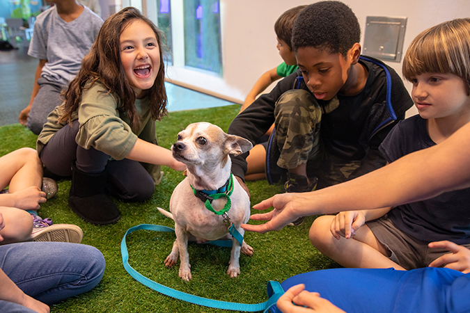 PetSpace Kids Camp - Tinybeans