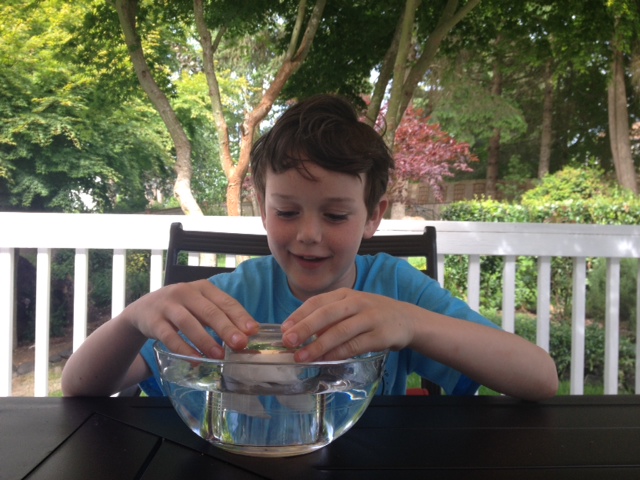 Easy Outdoor Science Experiments for Kids