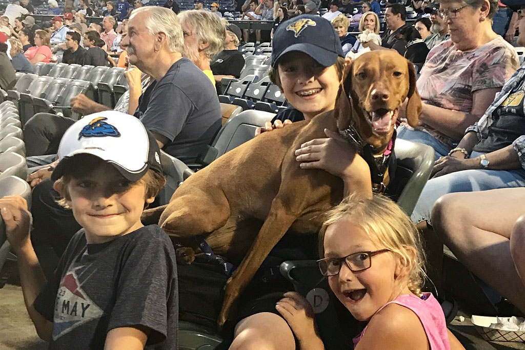 4 Life Lessons Kids Learn From Having a Pet