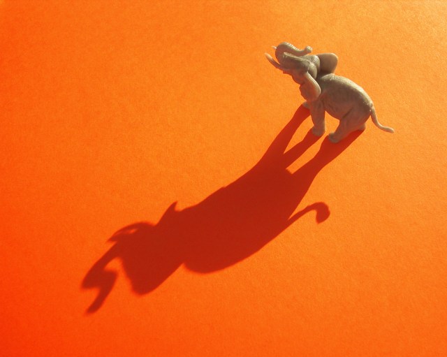 Best Solar Science Experiments for Kids