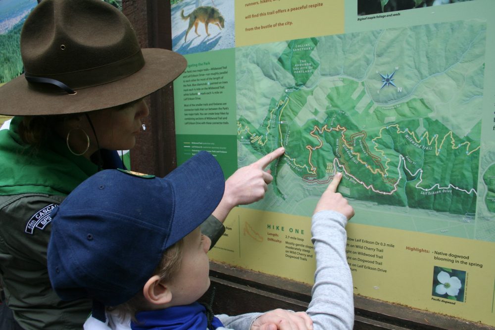 6 Awesome Forest Park Hikes | Portland, OR