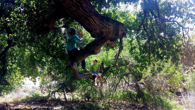 Amazing Unstructured Playgrounds