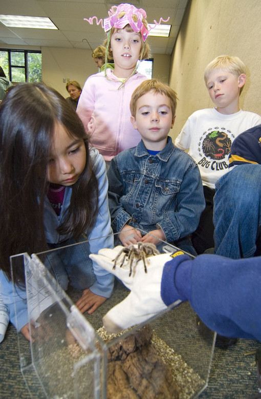 6 Places to Take Your Bug Lovers in Seattle