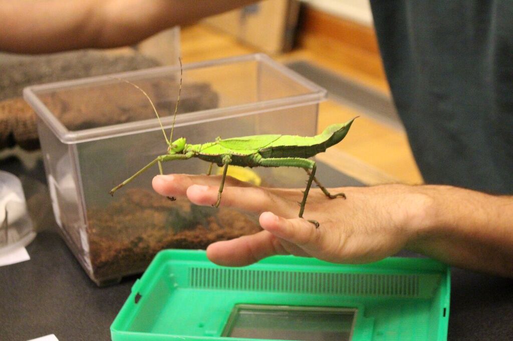 6 Places to Take Your Bug Lovers in Seattle