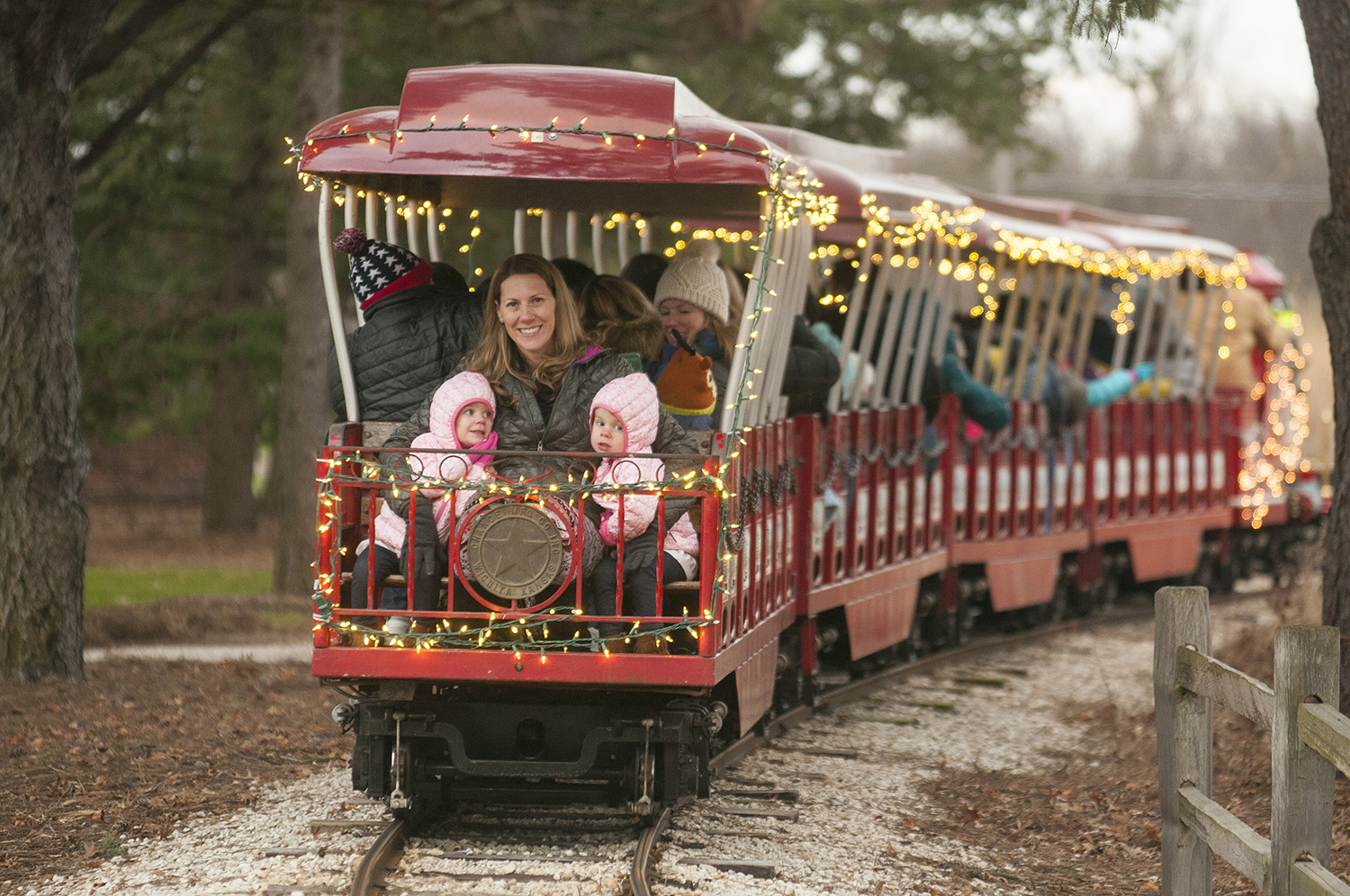 Best Christmas Sleigh & Train Rides in Chicago, IL