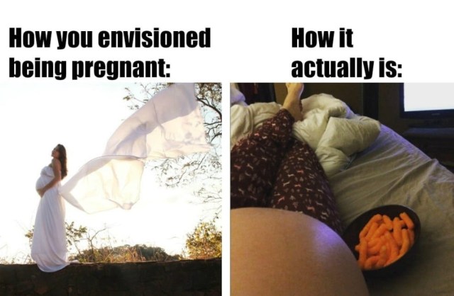 Funny Memes That Sum Up Pregnancy