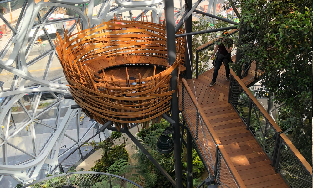 Amazon Spheres: Your Guide to How to Get Inside and What to See