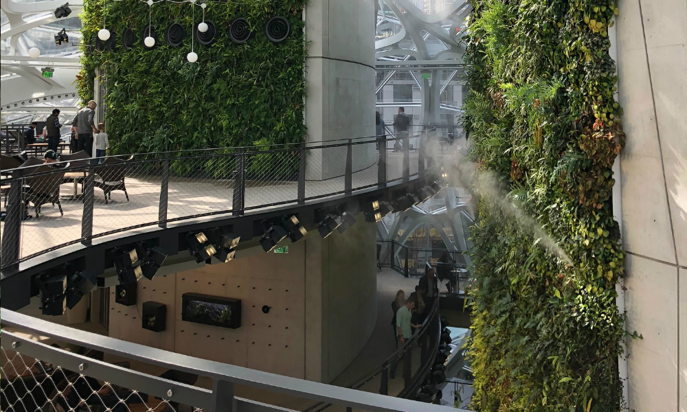 Amazon Spheres: Your Guide to How to Get Inside and What to See